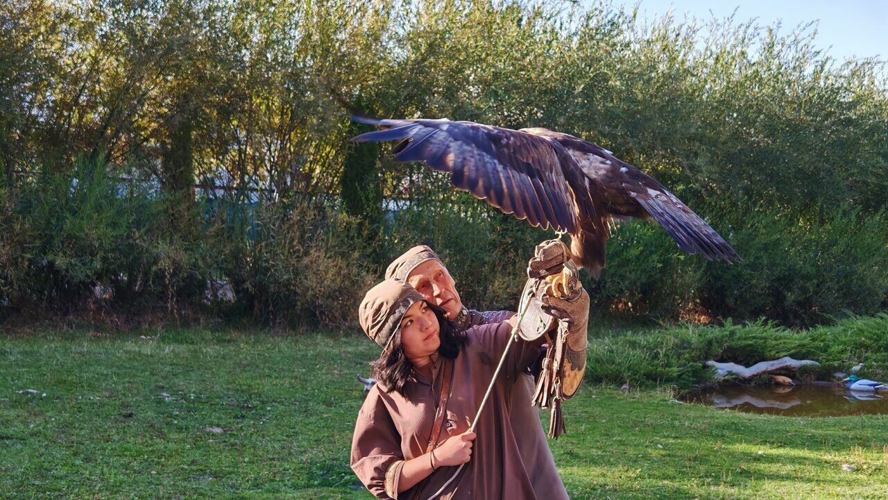 Falcon show | The most famous show in Almaty